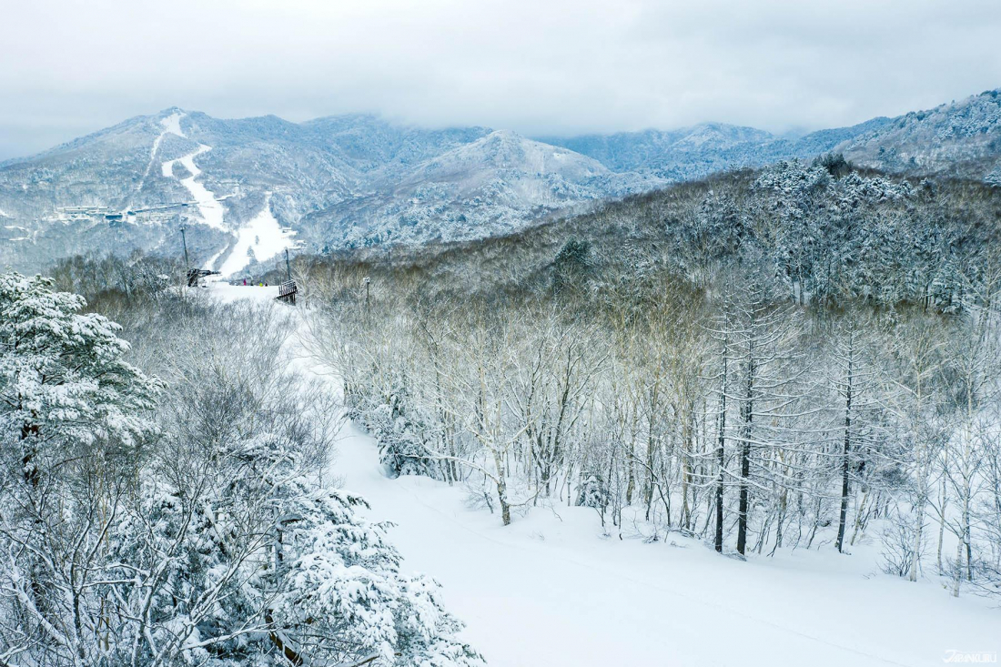 Shigakogen Magazine - Shigakogen Magazine - Joshinetsu National Park ...