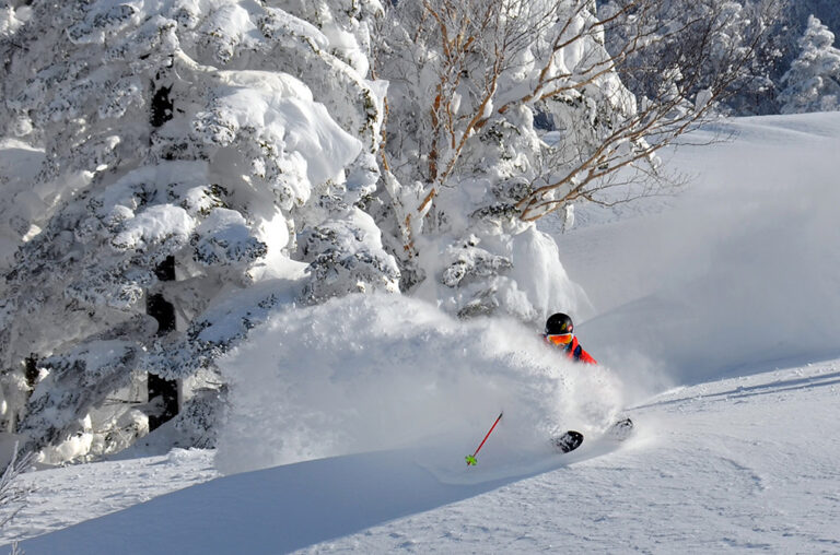 Powder Snow Spots in Shiga Kogen - NEWS - 志賀高原 SHIGA KOGEN National ...